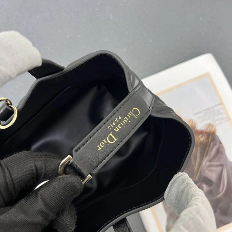 Accurate model Christian Dior Shopping Bags