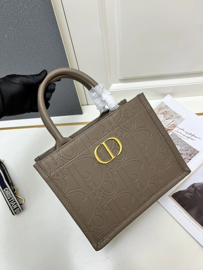 Accurate model Christian Dior Shopping Bags