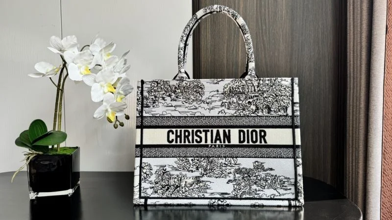 Christian Dior Shopping Bags