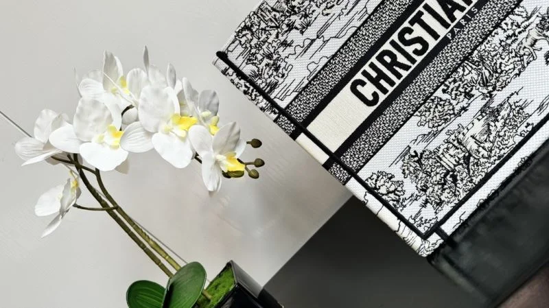 Low-cost Christian Dior Shopping Bags