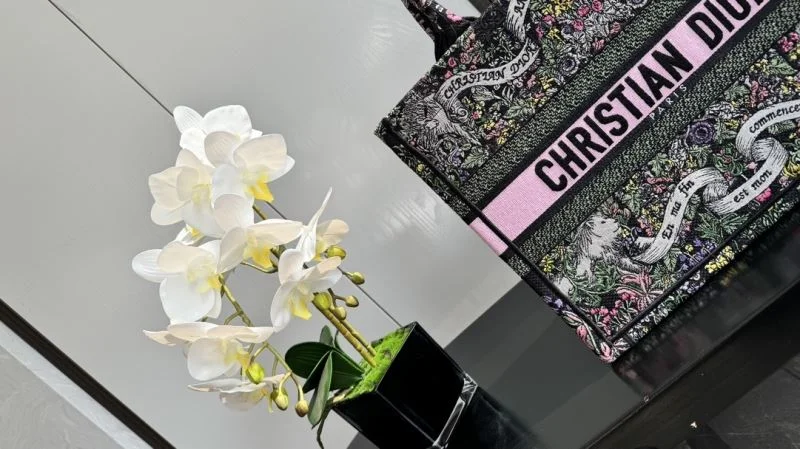 Value-priced Christian Dior Shopping Bags