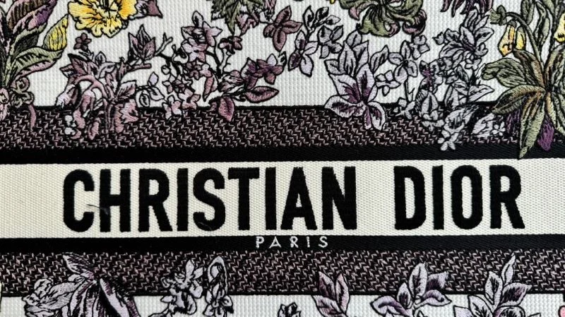 Reasonably priced Christian Dior Shopping Bags