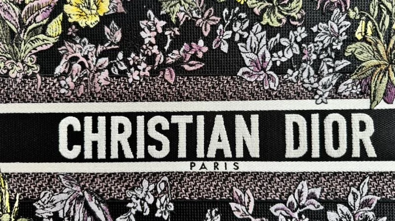 Low-cost Christian Dior Shopping Bags