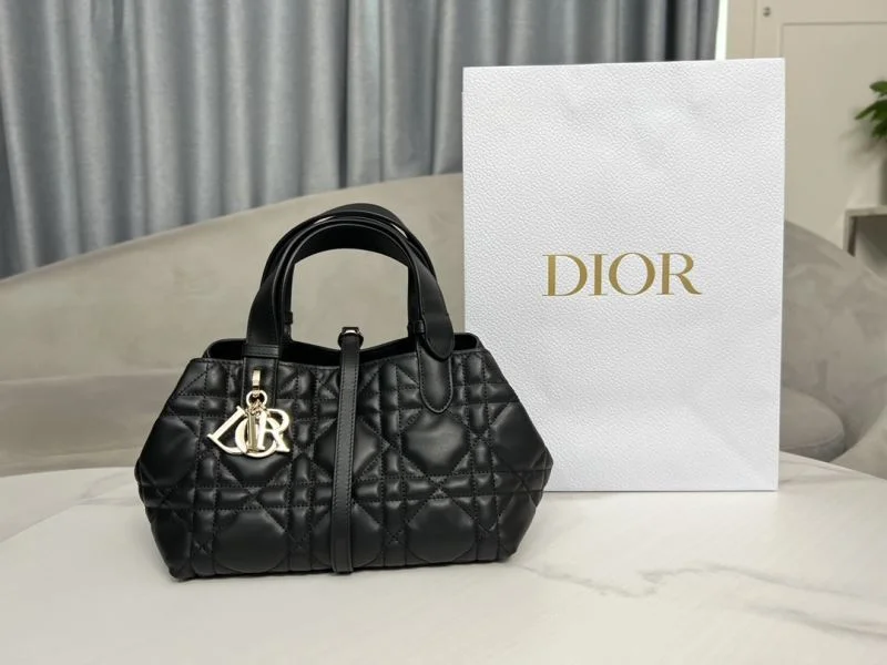 Christian Dior Shopping Bags