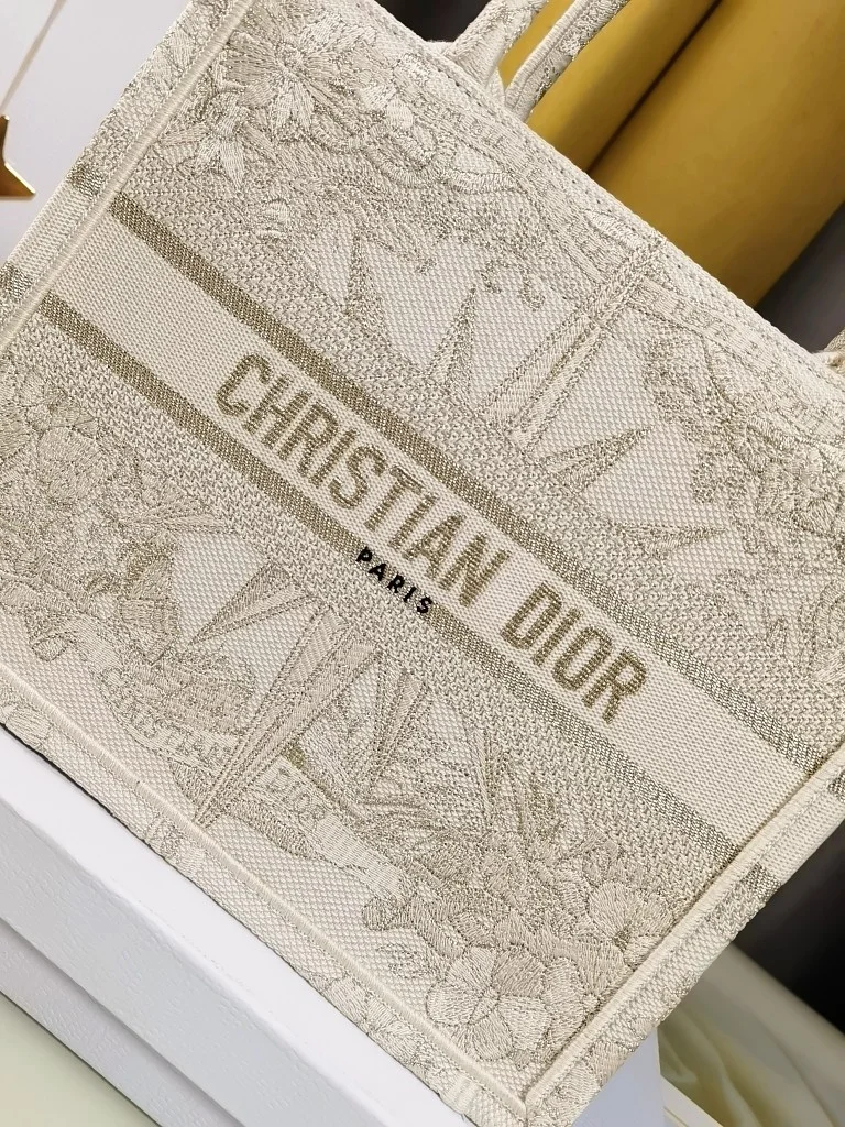 Accurate model Christian Dior Shopping Bags