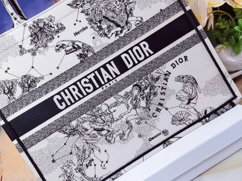 Exact replica Christian Dior Shopping Bags