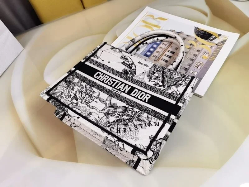 Brand-original Christian Dior Shopping Bags