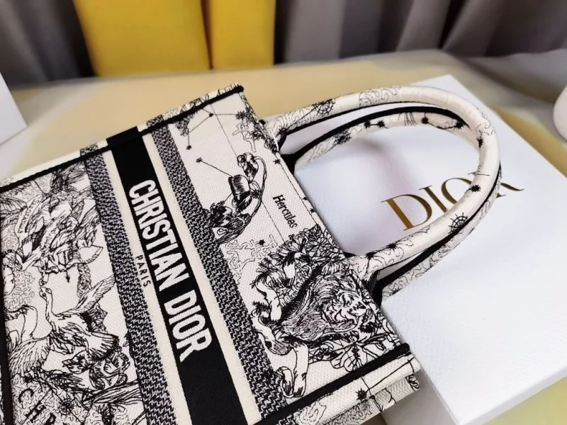 Brand-original Christian Dior Shopping Bags