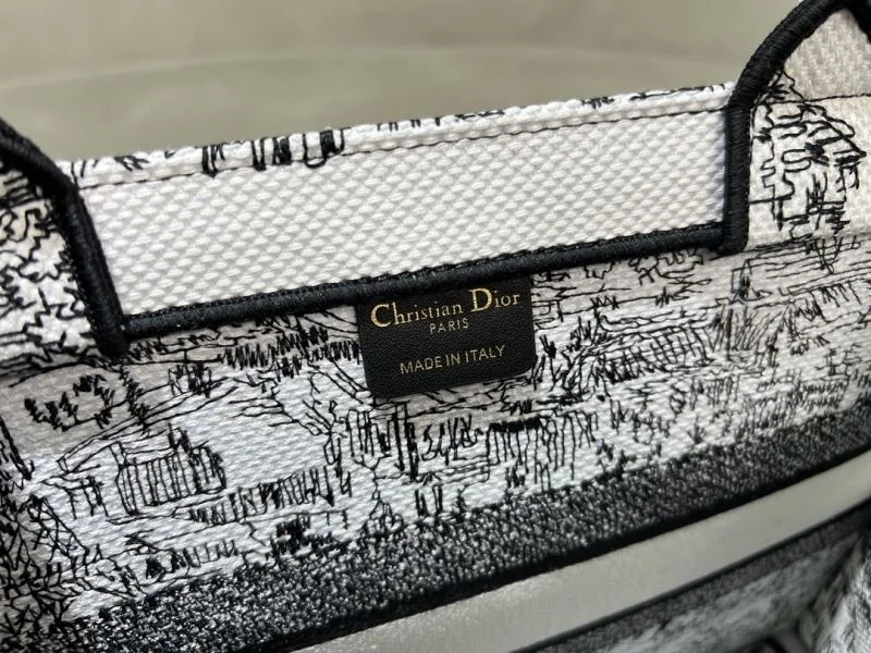 Economical Christian Dior Shopping Bags