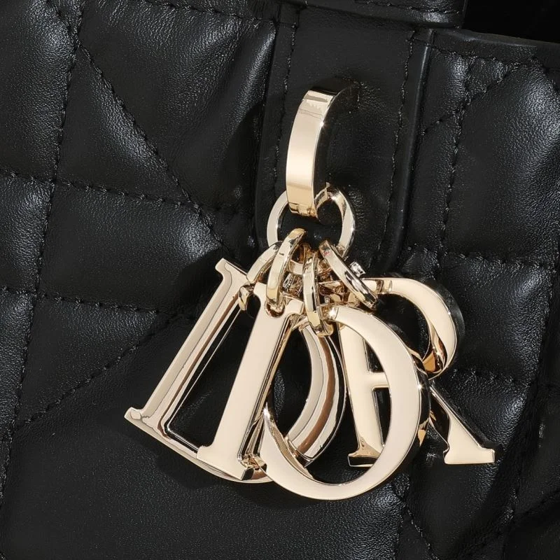 Economical Christian Dior Shopping Bags