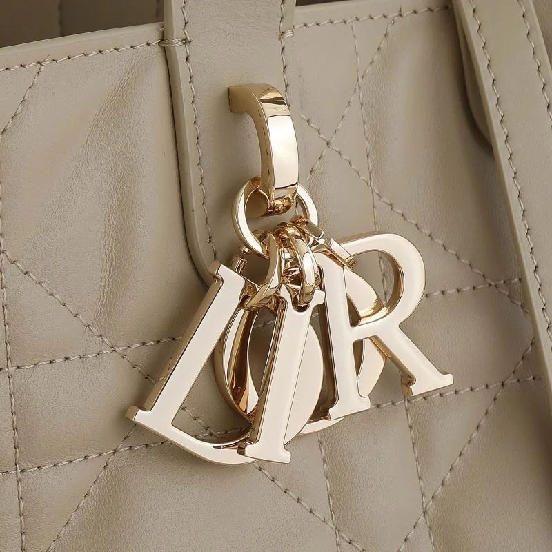 Budget-friendly Christian Dior Shopping Bags