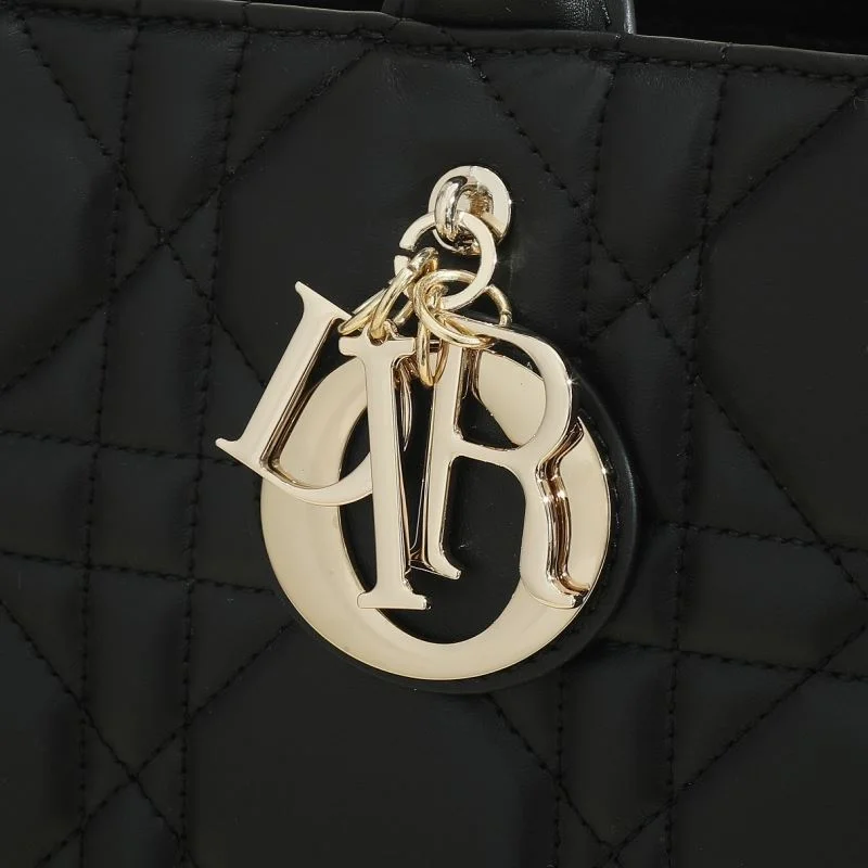 Perfect replica Christian Dior Shopping Bags