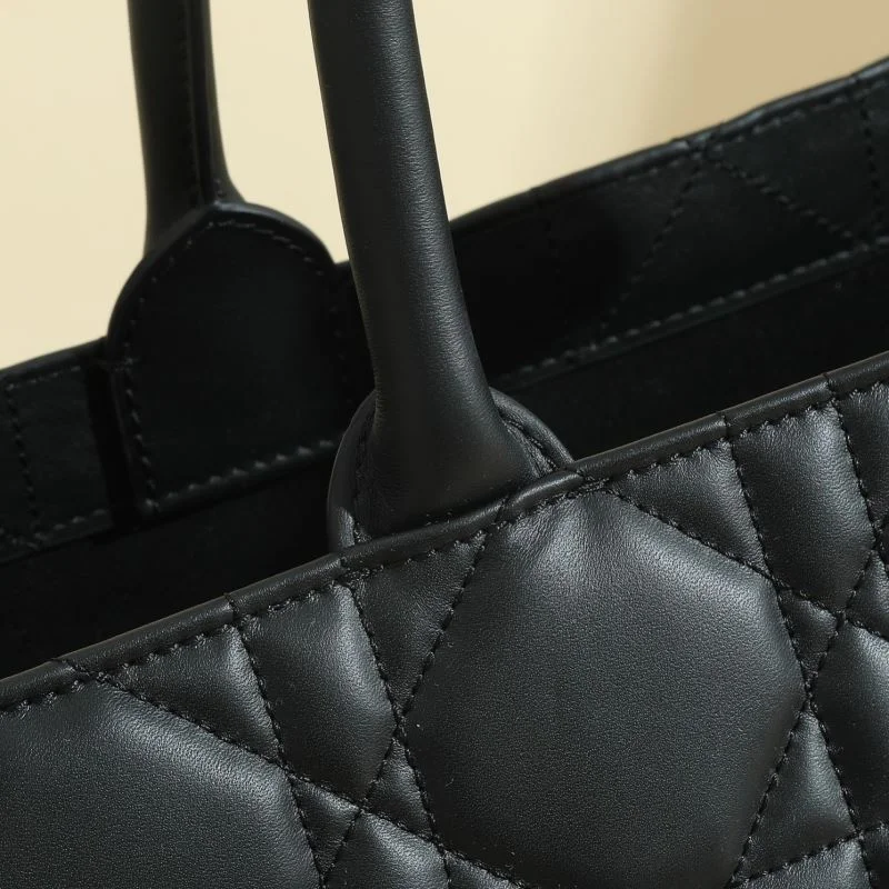 Perfect replica Christian Dior Shopping Bags