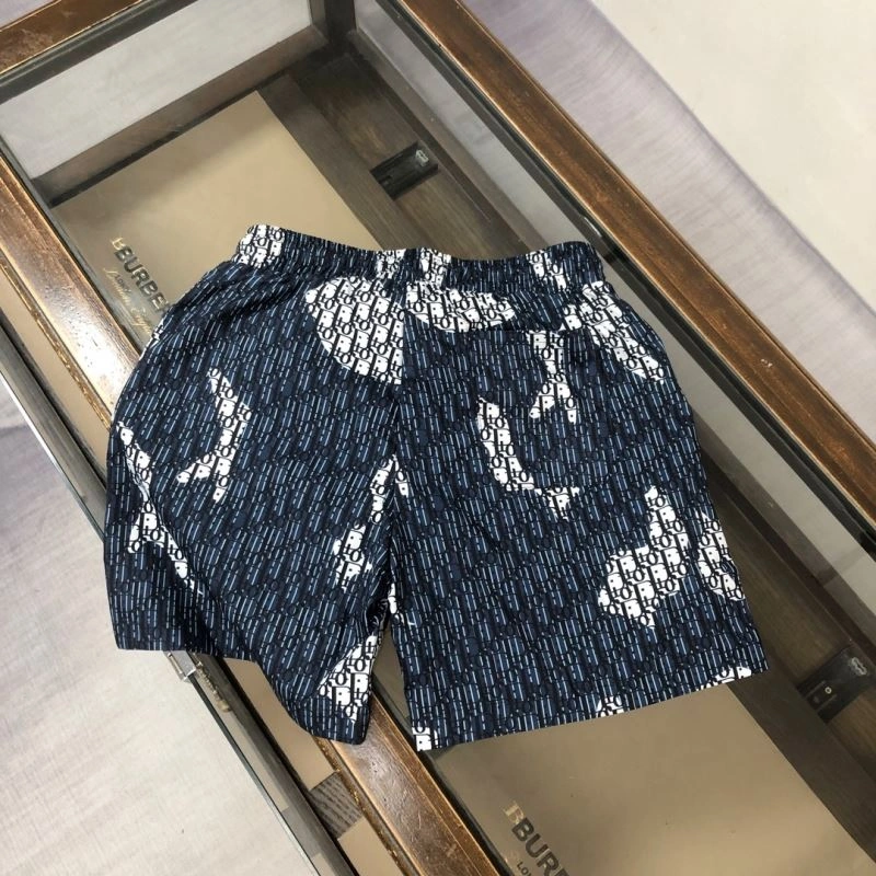 Mirror quality Christian Dior Short Pants