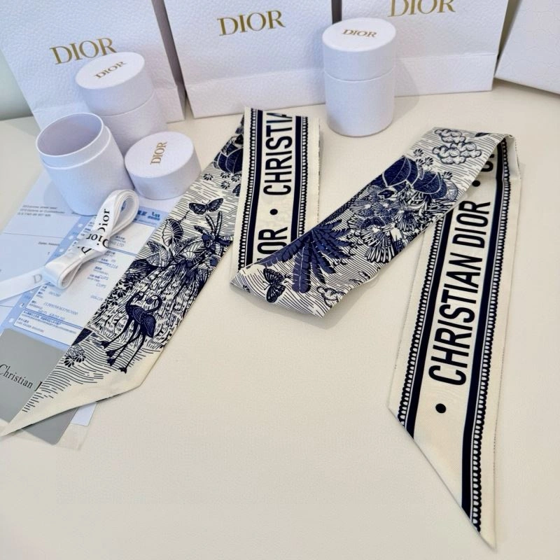 Budget-friendly Christian Dior Silk
