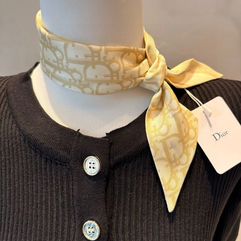 Christian Dior Silk