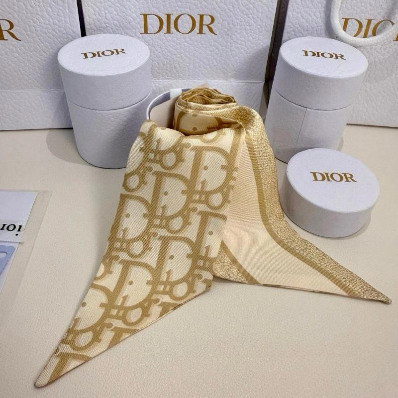 Indistinguishable Christian Dior Silk