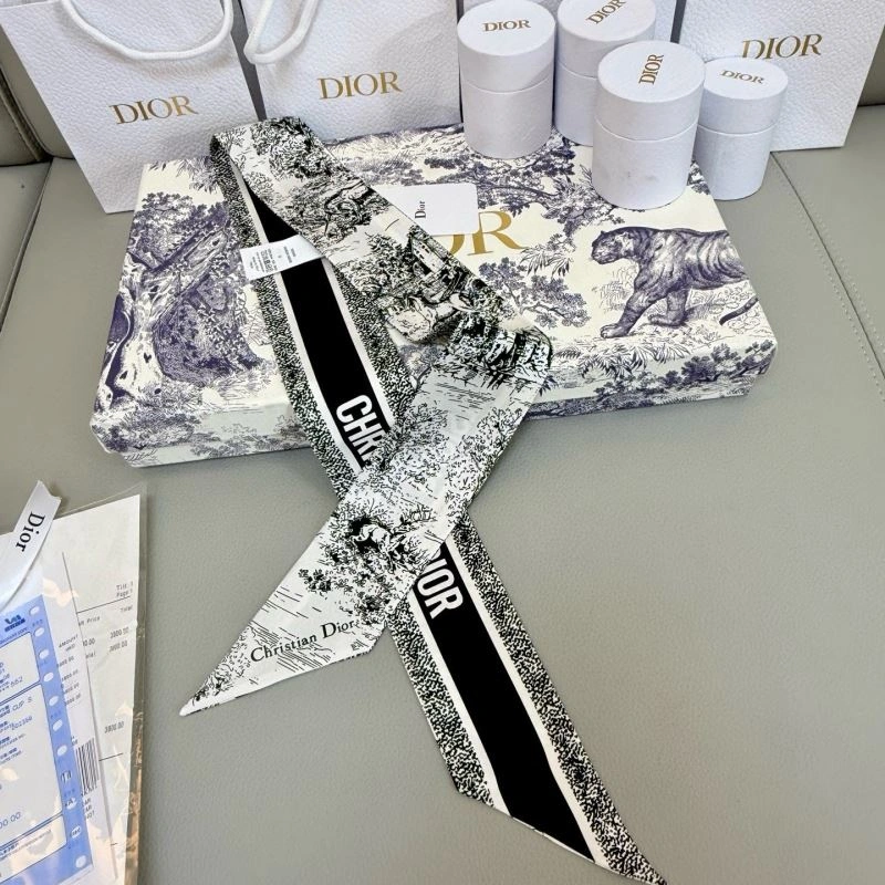 Top match Christian Dior Silk