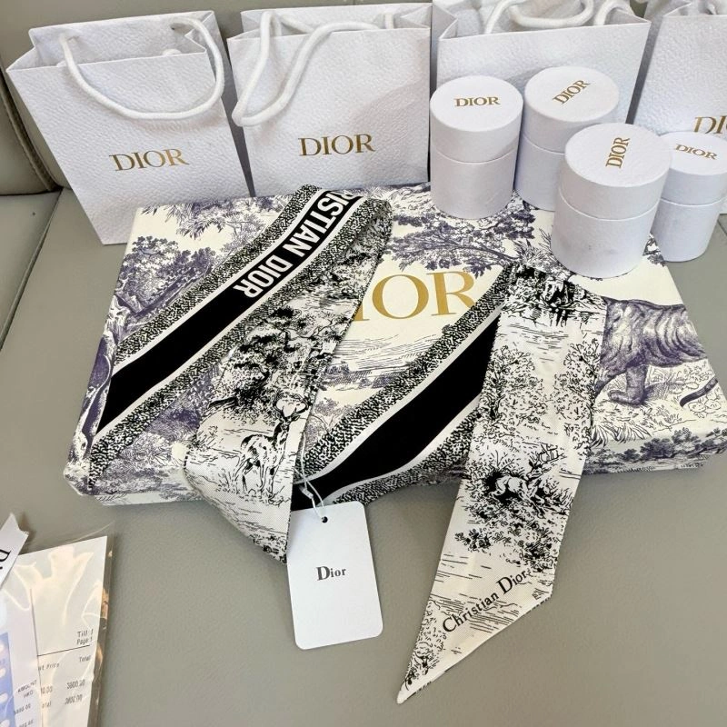 Top match Christian Dior Silk