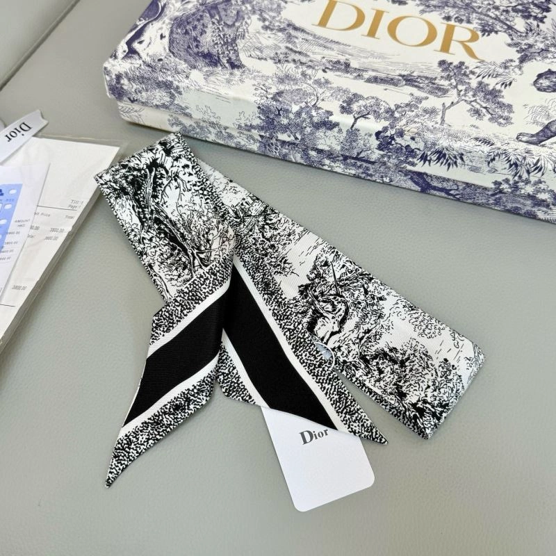 Top match Christian Dior Silk