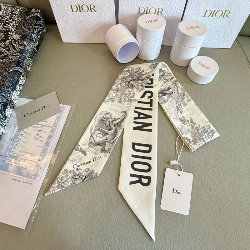Mirror quality Christian Dior Silk