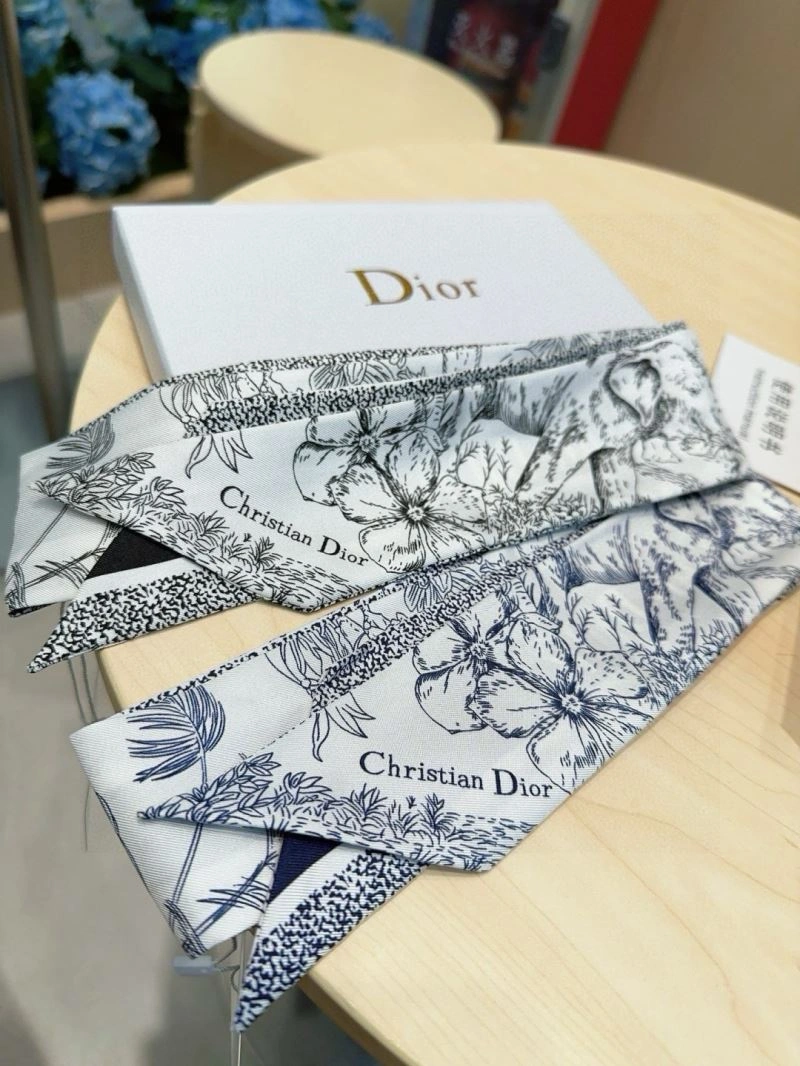 Official Christian Dior Silk