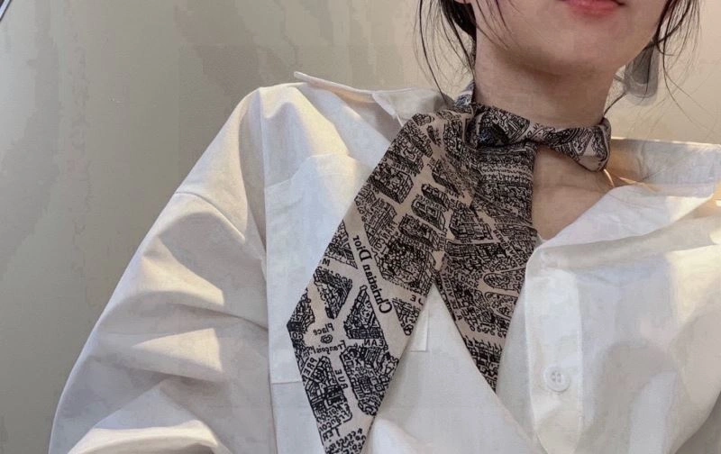 Christian Dior Silk