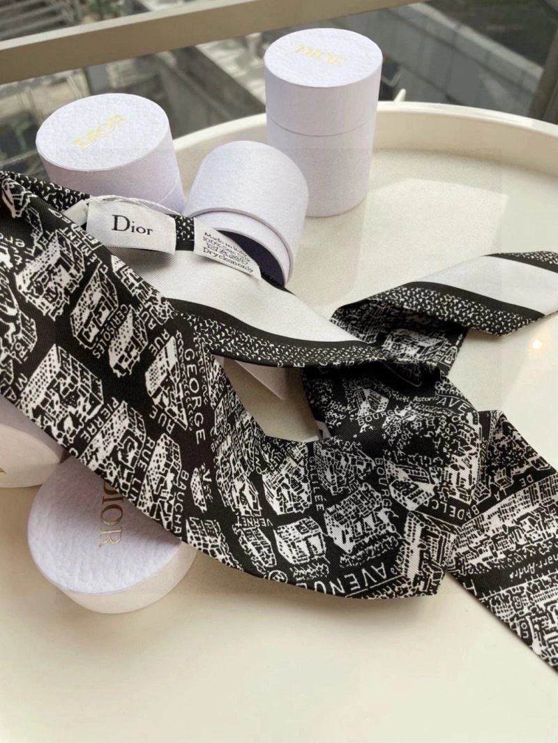 Budget-friendly Christian Dior Silk