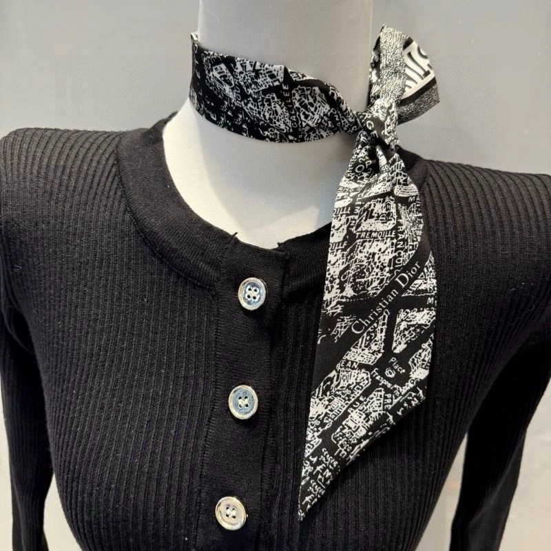 Christian Dior Silk