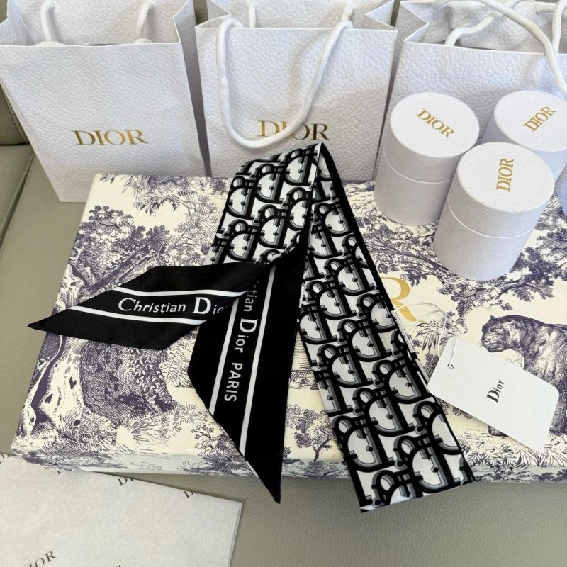 Accurate model Christian Dior Silk