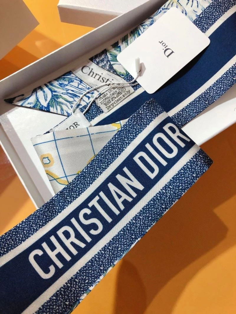 Legit Christian Dior Silk