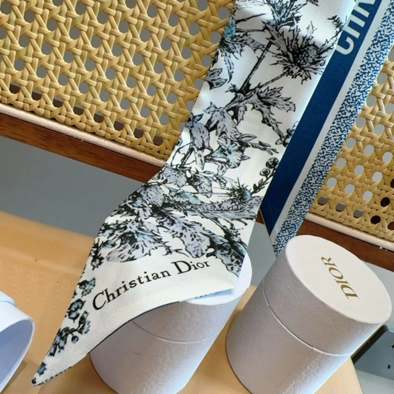 Top match Christian Dior Silk