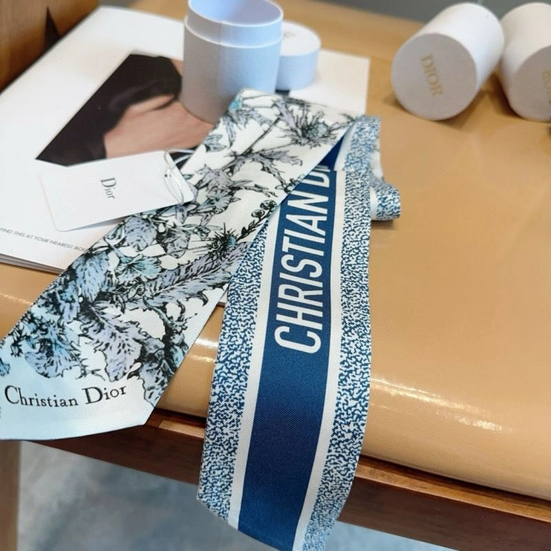 Top match Christian Dior Silk