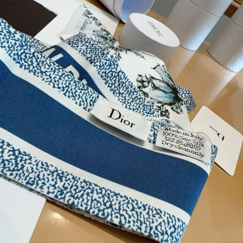 Top match Christian Dior Silk