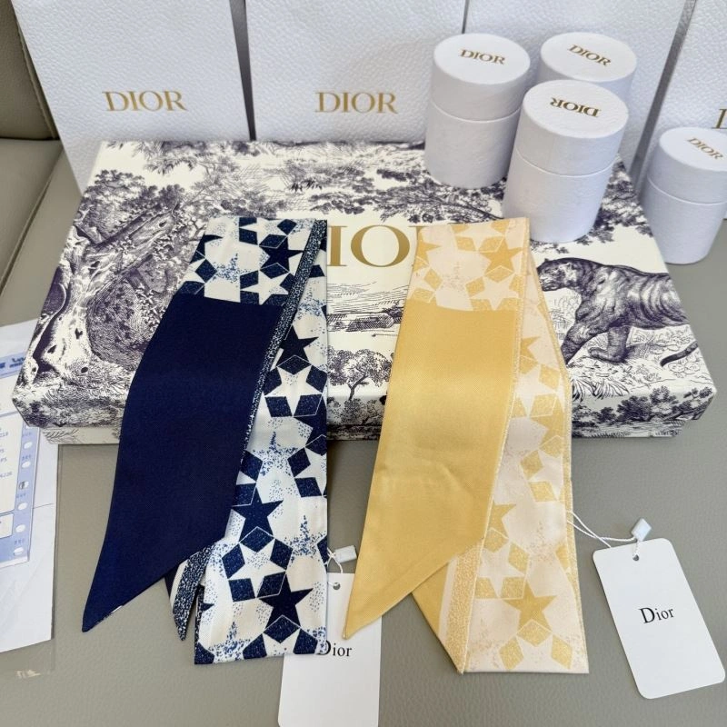 Mirror quality Christian Dior Silk