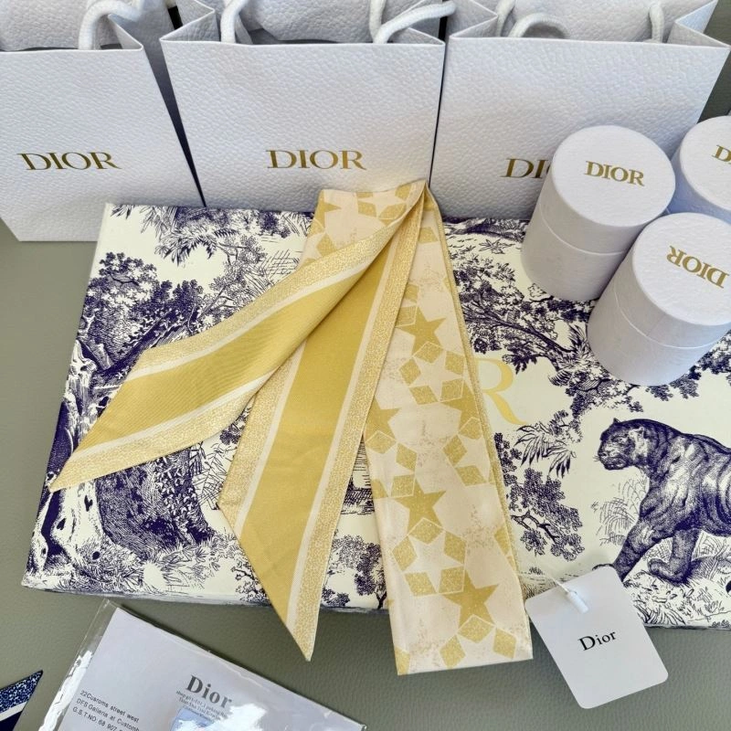 Mirror quality Christian Dior Silk