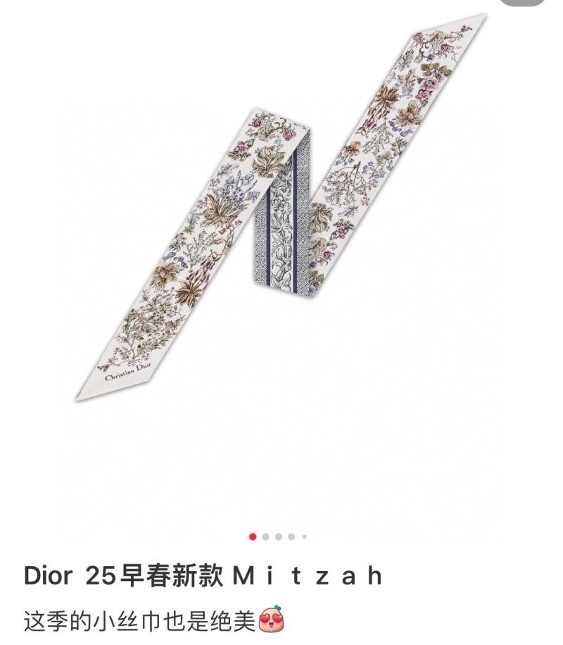 Christian Dior Silk