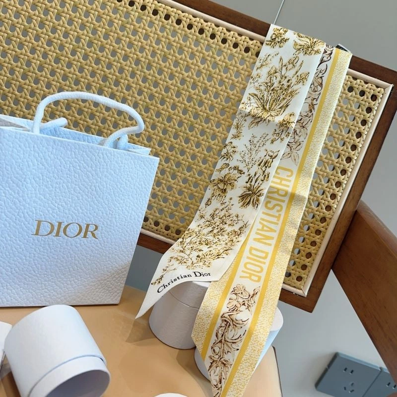 Mirror quality Christian Dior Silk