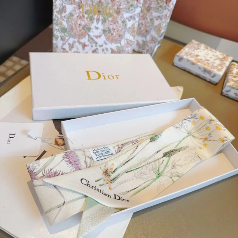 Inexpensive Christian Dior Silk
