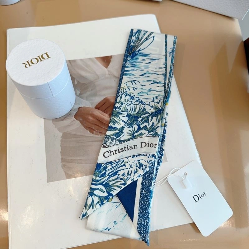 Inexpensive Christian Dior Silk