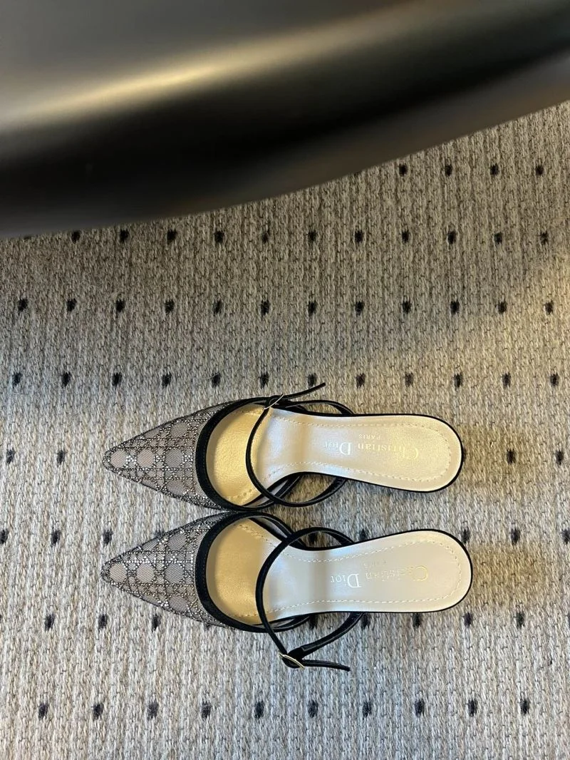 Low-cost Christian Dior Slippers