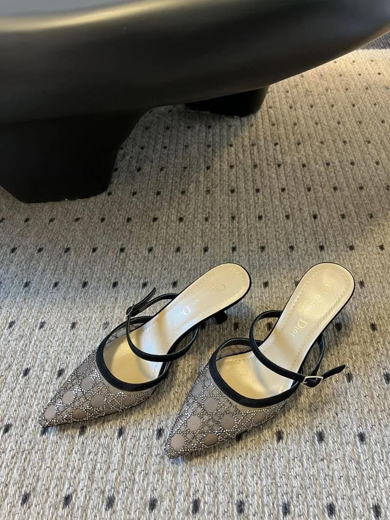 Low-cost Christian Dior Slippers