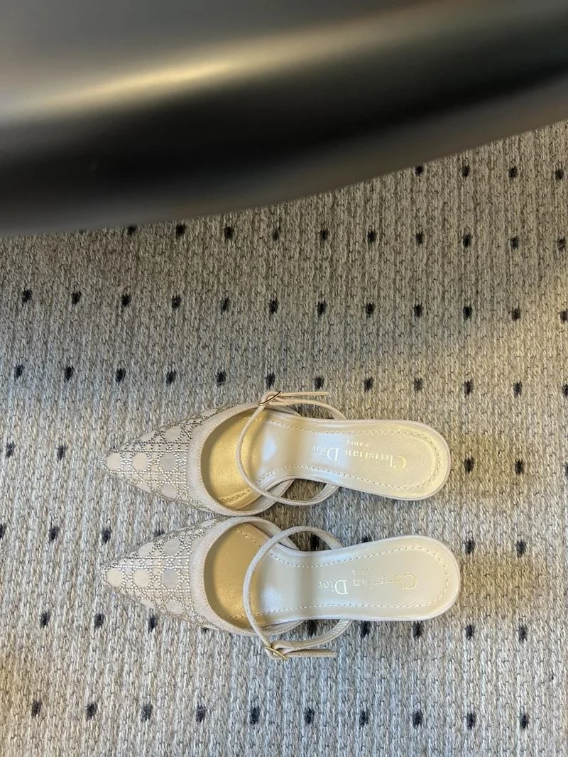 Accurate model Christian Dior Slippers