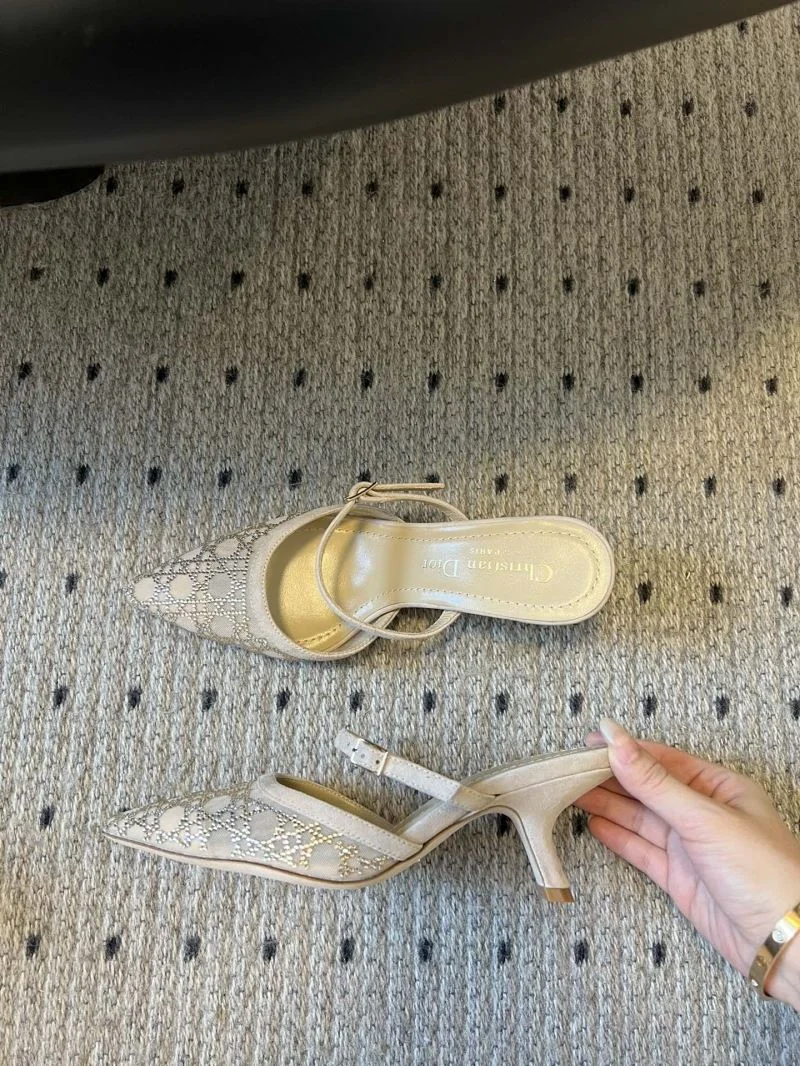 Accurate model Christian Dior Slippers