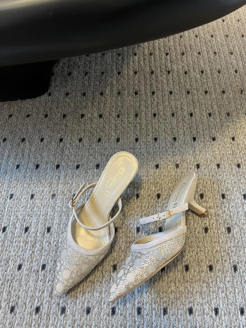 Accurate model Christian Dior Slippers