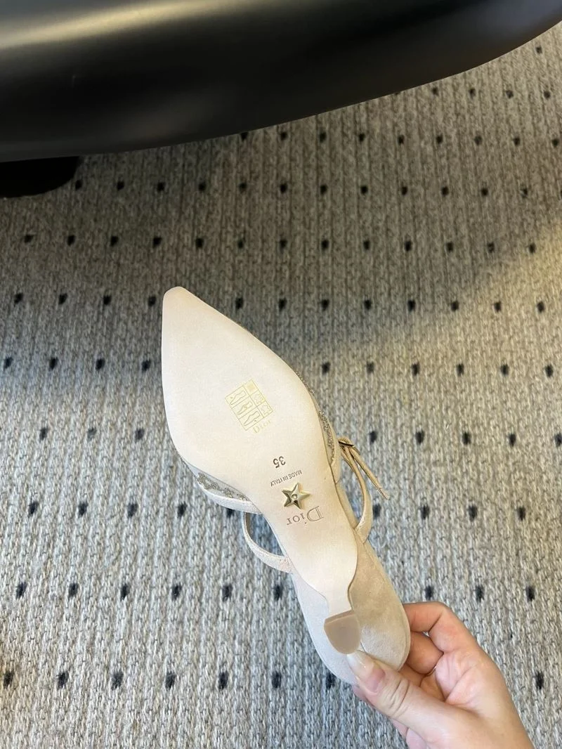Accurate model Christian Dior Slippers