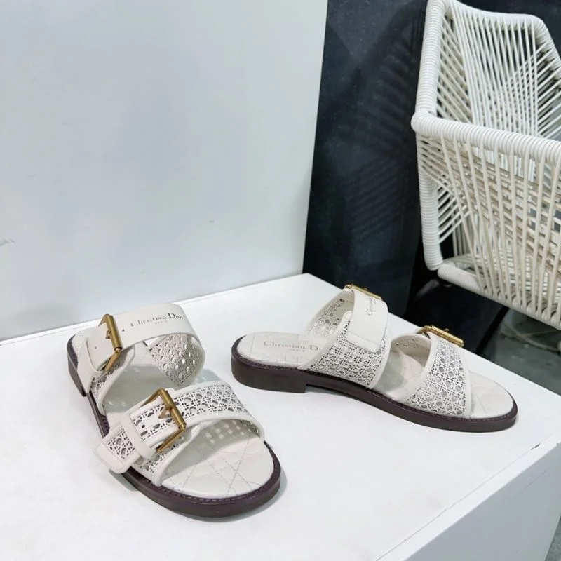 Budget-friendly Christian Dior Slippers