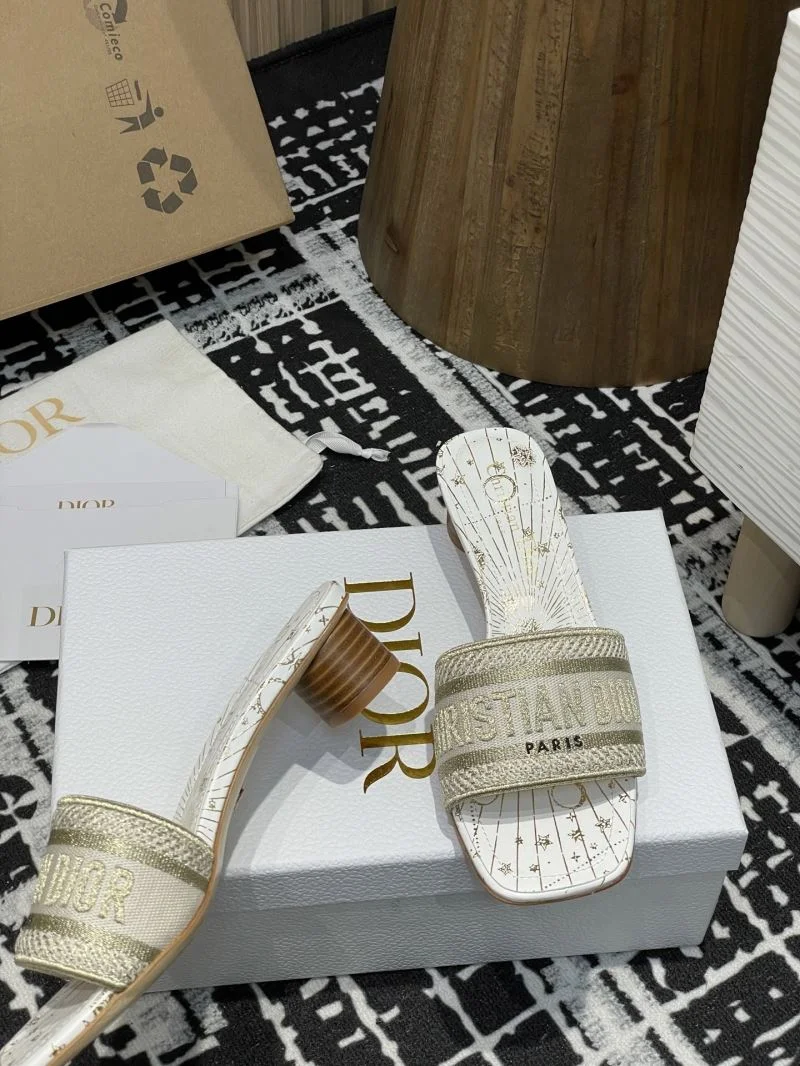 Accurate model Christian Dior Slippers