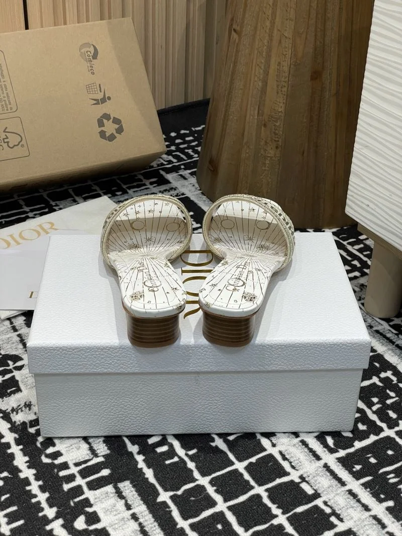 Accurate model Christian Dior Slippers