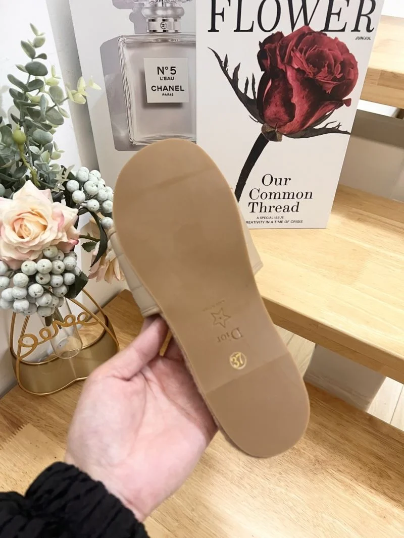 Budget-friendly Christian Dior Slippers